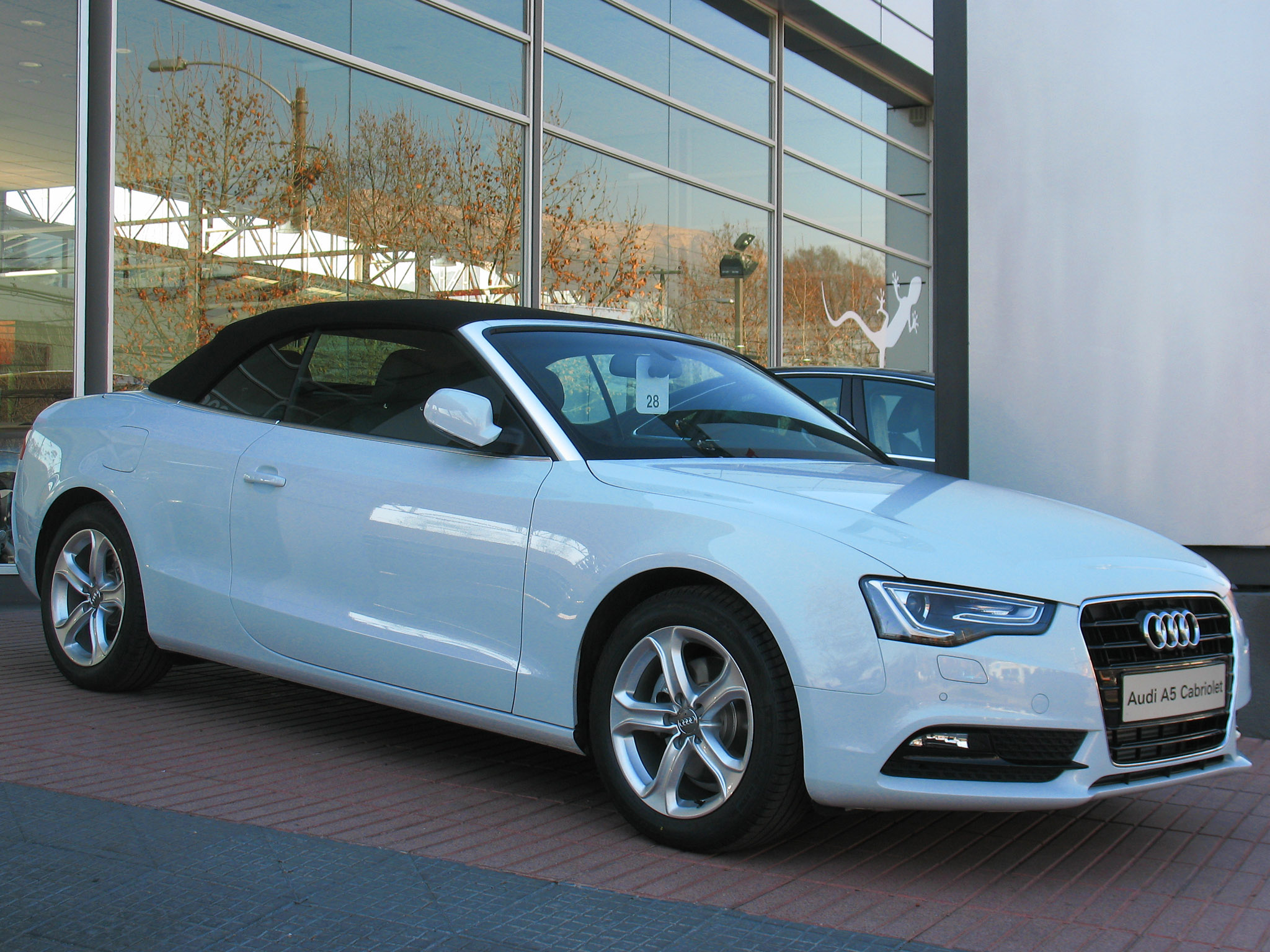 Types Of Gas An Audi A5 Takes (Explained) - The Driver Adviser